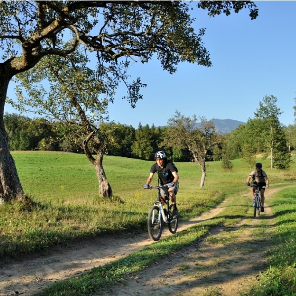 Kolesarjenje v Radovljici in okolici| Radol'ca, pristno sladka 🐝