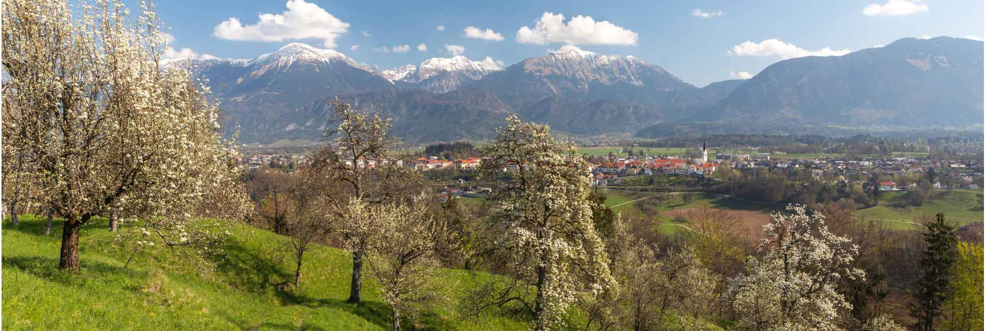 Turizem Radovljica - uradna stran | Radol'ca, pristno sladka 🐝