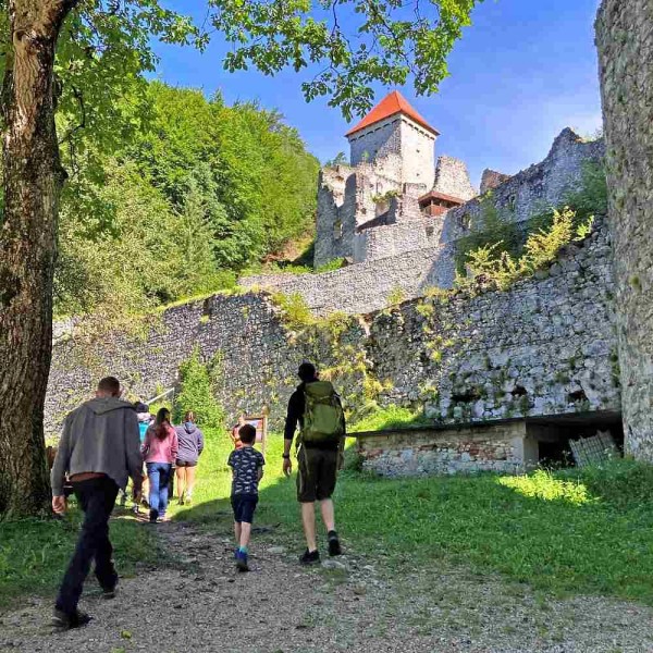 Turizem Radovljica - uradna stran | Radol'ca, pristno sladka 🐝